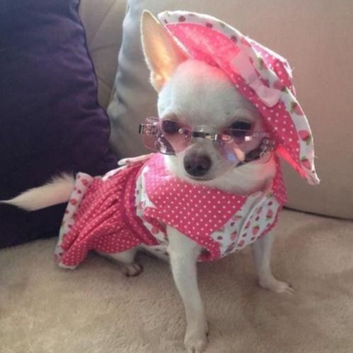 Stream symphora | Listen to kpop &house playlist online for free on ...