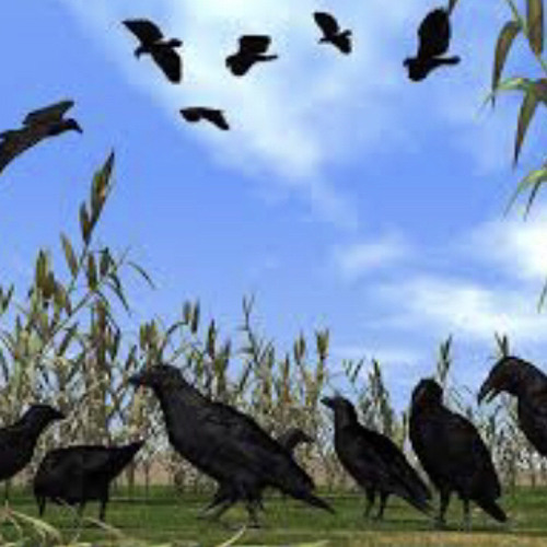 Stream Crows in the Farm(Prod.TheDisfiguredSpirit) by Eagl3🦅 | Listen ...