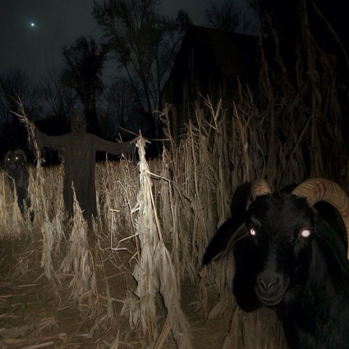 Stream elioud x LudeciusisDead - HEARSE prod nerfjayy by elioud ...