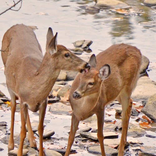 Stream Eric Keepers | Listen to Eric and Loura Keepers playlist online ...