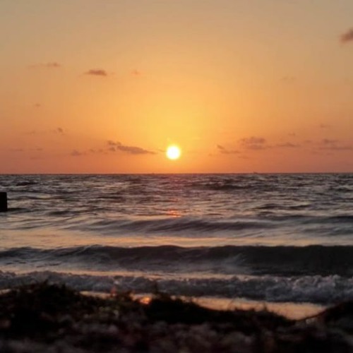 Stream Alex Zinn & Luke Hunter - Sunrise - No Worries Camp @ Love Burn ...