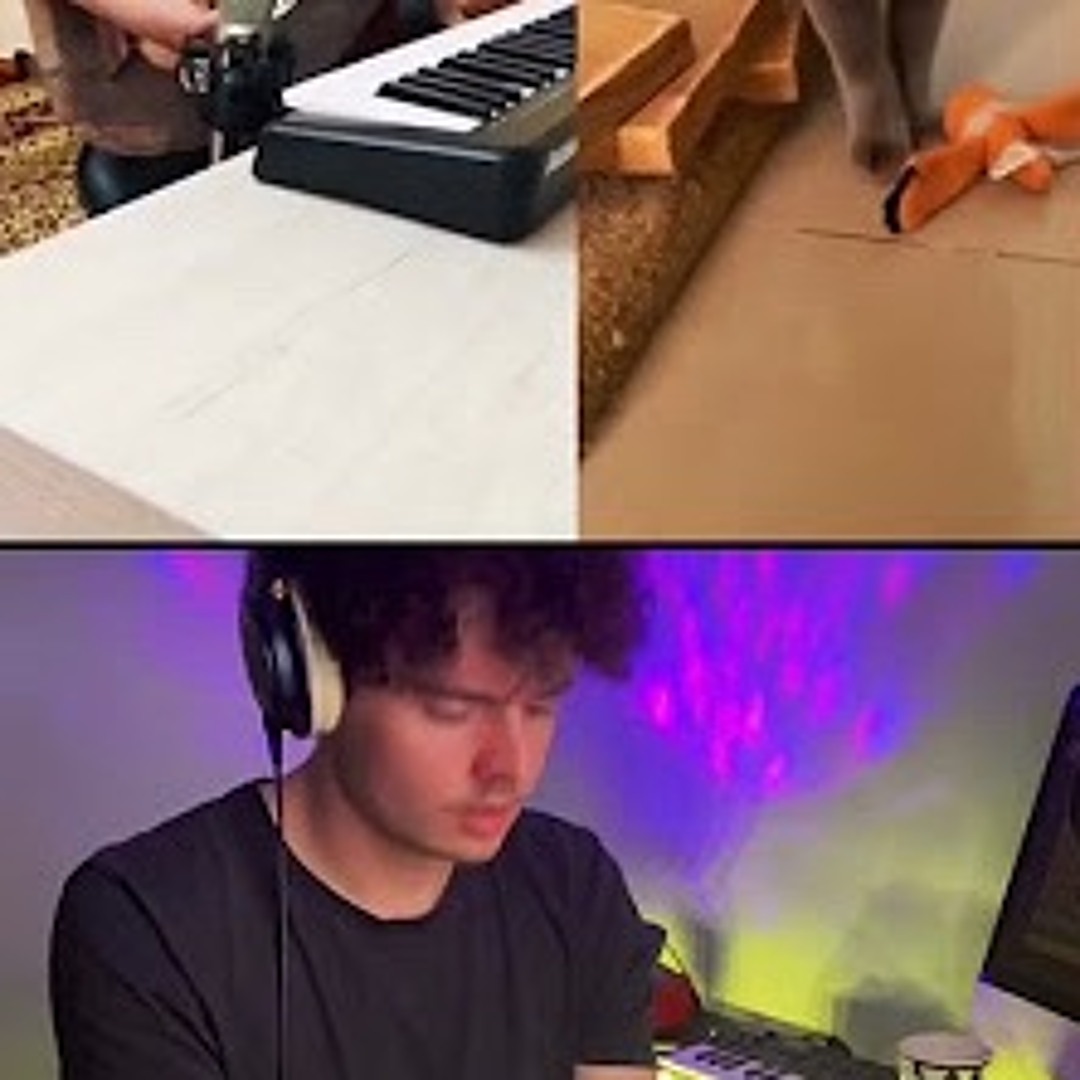 Listen to Luga Luga Cat TikTok Chain But Its Actually Good Lol - MiMo ...