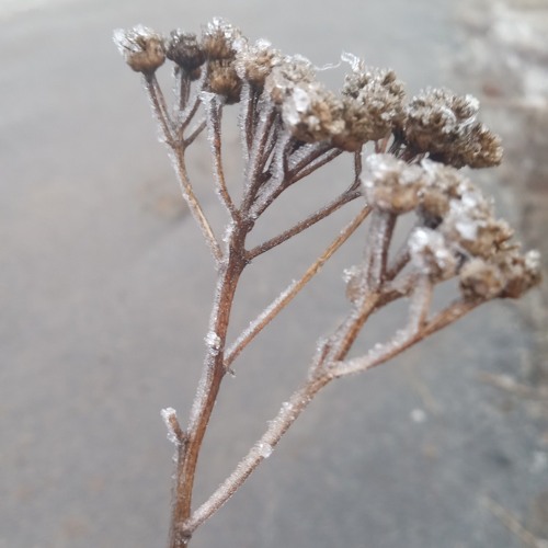 Stream Miyagi-Andy Panda - Minor by Jul jan | Listen online for free on ...