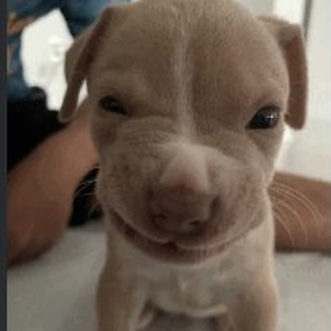 Stream T!n0 | Listen to tuff shi playlist online for free on SoundCloud