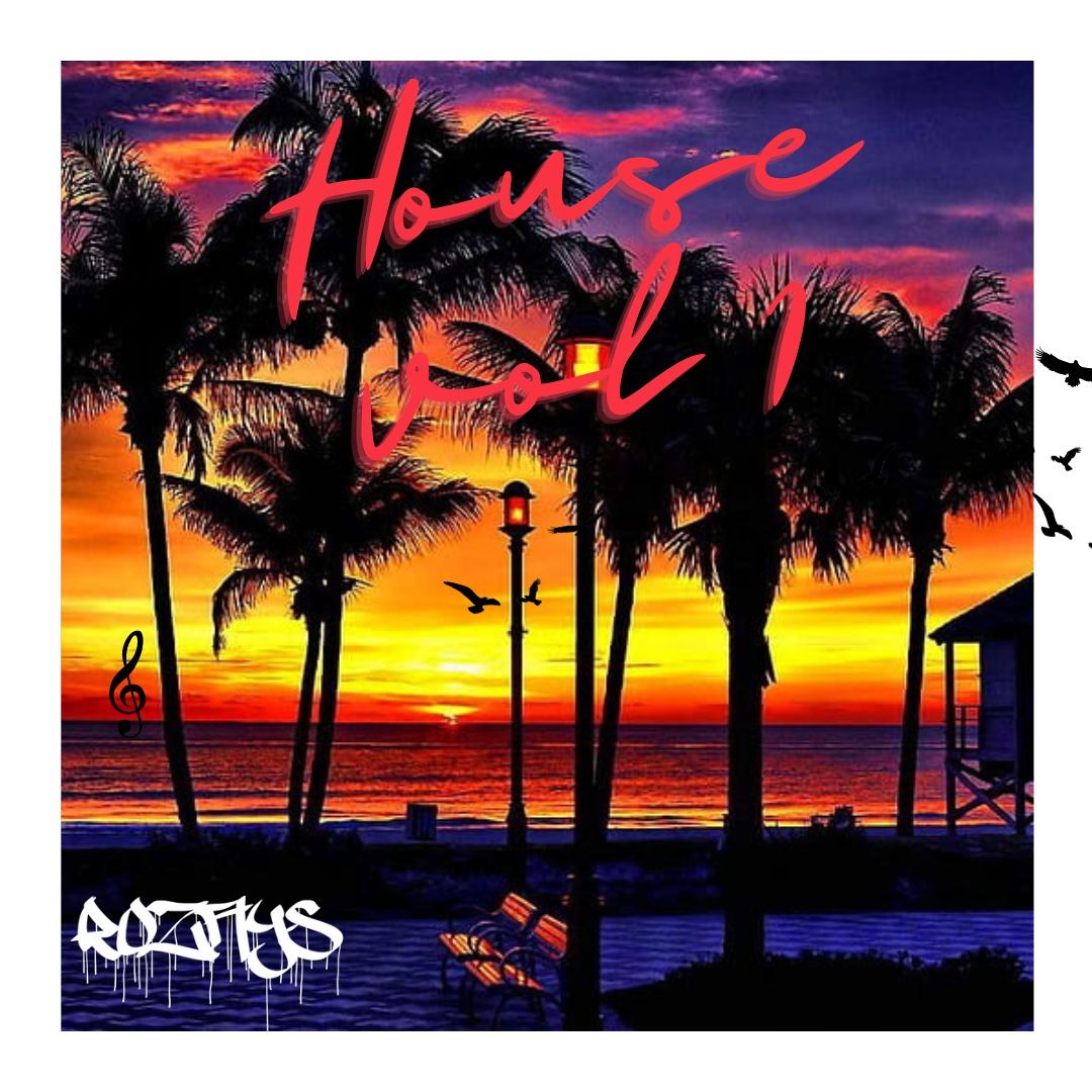 Stream House Mixtape 2024 Vol 1 by DJ rosé | Listen online for free on ...