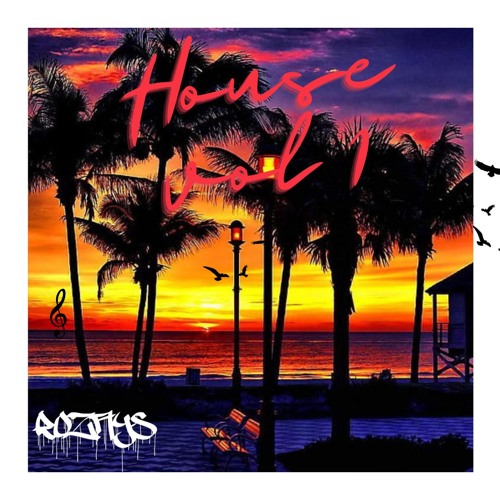 Stream House Mixtape 2024 Vol 1 by DJ rosé | Listen online for free on ...