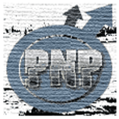 Stream PNP-Sound music | Listen to songs, albums, playlists for free on ...