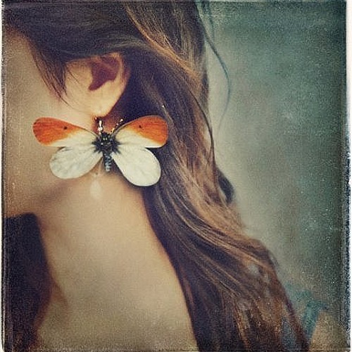 Stream Alice Courtney music | Listen to songs, albums, playlists for ...