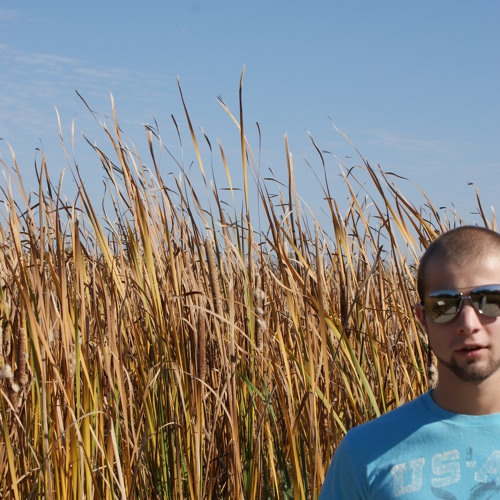 Stream SOUND BENDER music | Listen to songs, albums, playlists for free ...