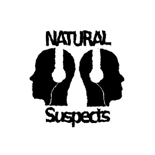 Stream Natural suspects vol 4 march 2011 by naturalsuspects | Listen ...