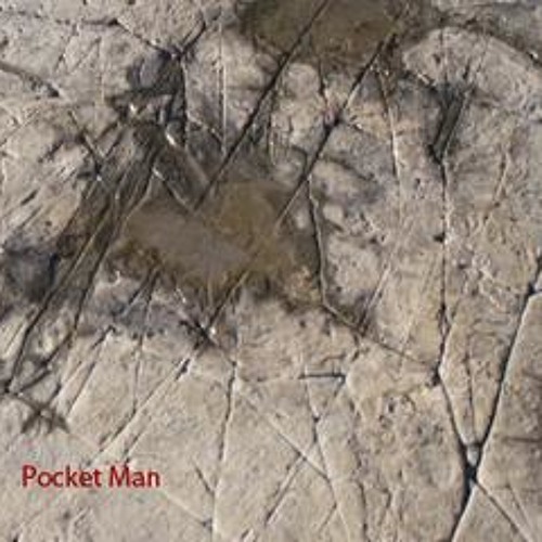 Stream Pocket Man music | Listen to songs, albums, playlists for free ...