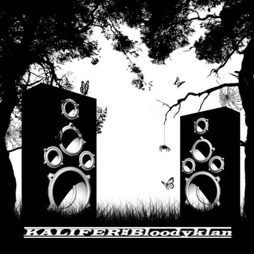 Stream Kalifer music | Listen to songs, albums, playlists for free on ...