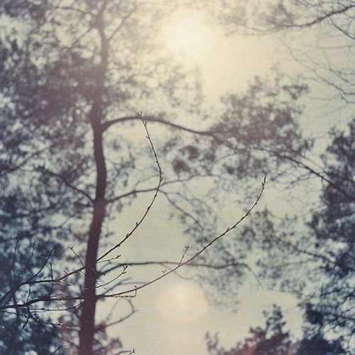 Stream Robert Messner music | Listen to songs, albums, playlists for ...