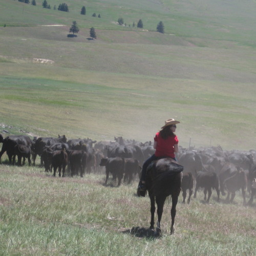 Stream dgjb music | Listen to songs, albums, playlists for free on ...