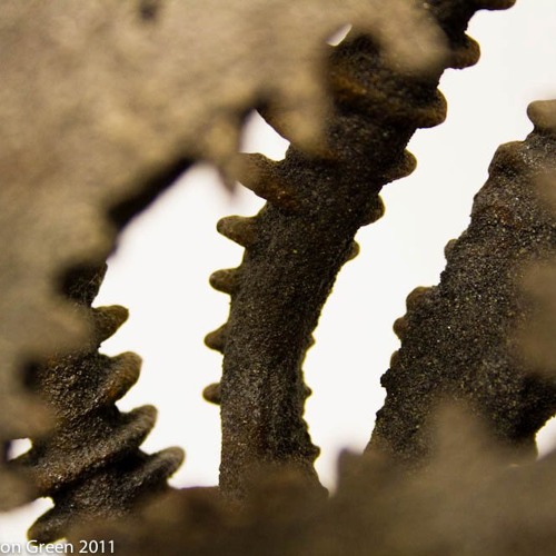 Stream Sam Bucha music | Listen to songs, albums, playlists for free on ...