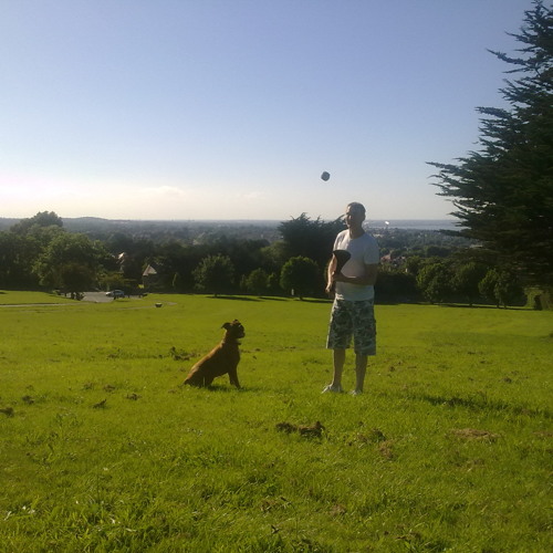 Stream Bill & Ben age of dub by Alan Pullen | Listen online for free on ...