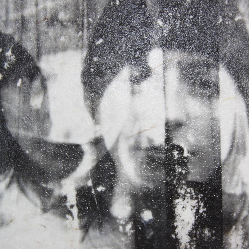 Stream Medusa Cascade music | Listen to songs, albums, playlists for ...