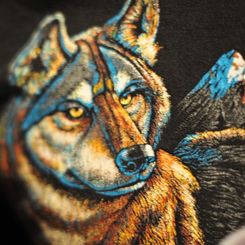 Stream Hello, Wolf music | Listen to songs, albums, playlists for free ...