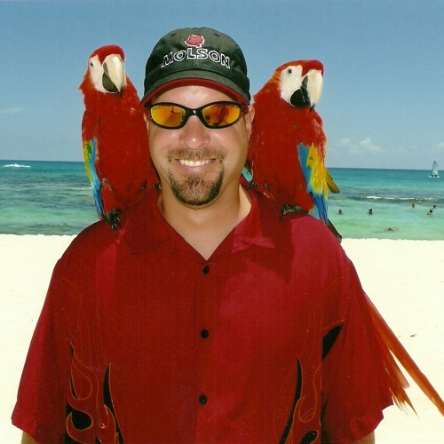 Stream Sesame Street Theme Instrumental By Won Ton Productions Listen Online For Free On