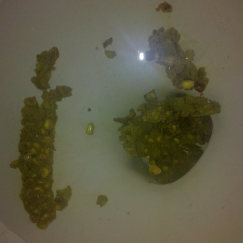 Stream Poop 47 "Julio The Mexican Samurai" by Gluteus Windus | Listen ...