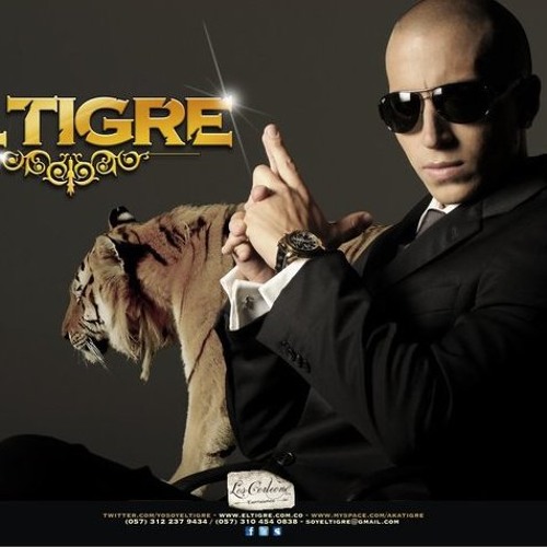 Stream El Tigre Bogota music | Listen to songs, albums, playlists for ...