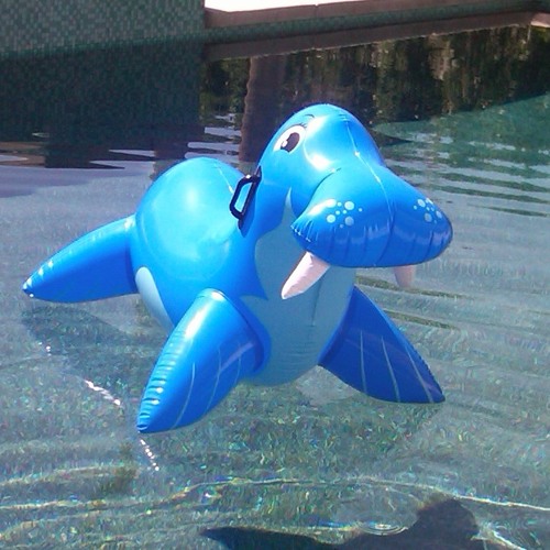 Stream DJ Walrus music | Listen to songs, albums, playlists for free on ...