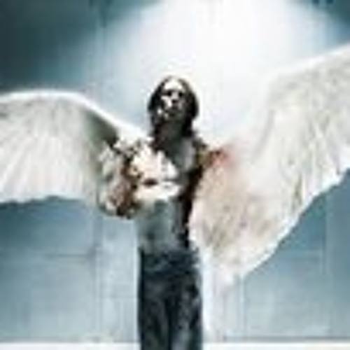 Stream boboc-bobocel music | Listen to songs, albums, playlists for ...