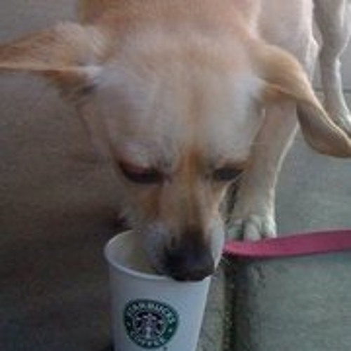 Stream Pergolesi - Se tu m'a mi by Jack Chessa | Listen online for free ...