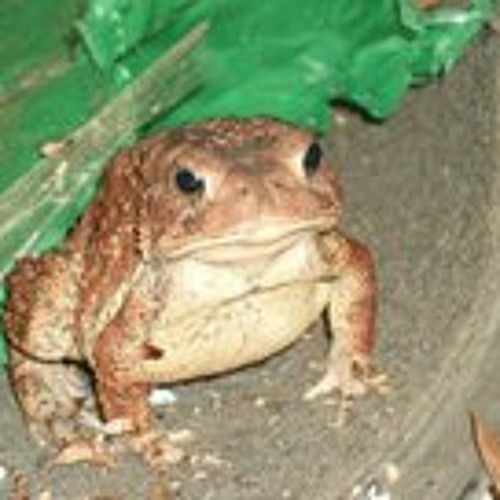 Stream Robert Forde music | Listen to songs, albums, playlists for free ...