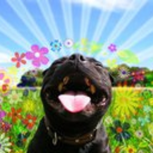 Stream Adam 'Mossy' Moss music | Listen to songs, albums, playlists for ...