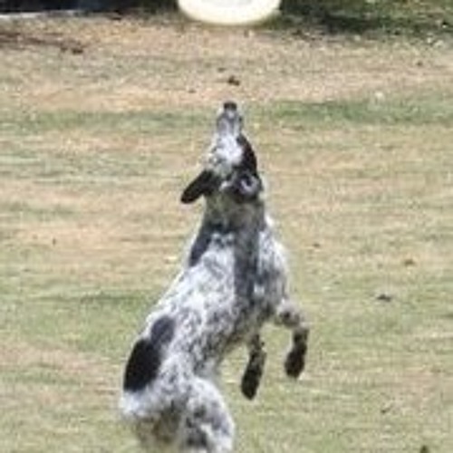 Stream Justin Winans music | Listen to songs, albums, playlists for ...