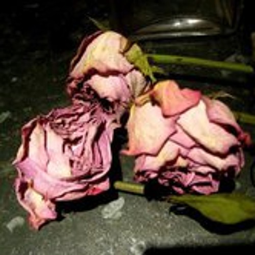 Stream Charlotte La Roche music | Listen to songs, albums, playlists ...