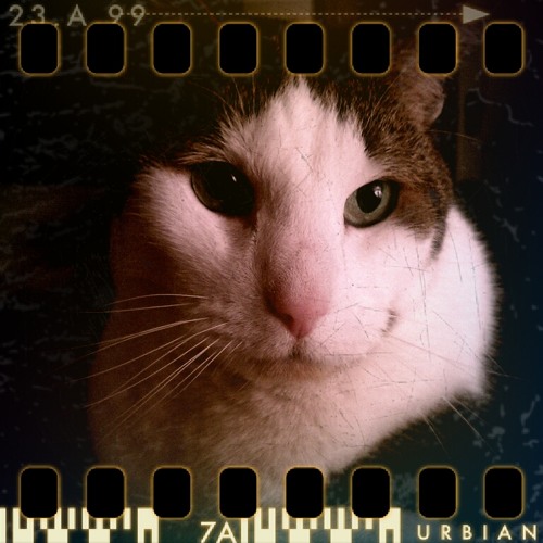 Stream xoax music | Listen to songs, albums, playlists for free on ...