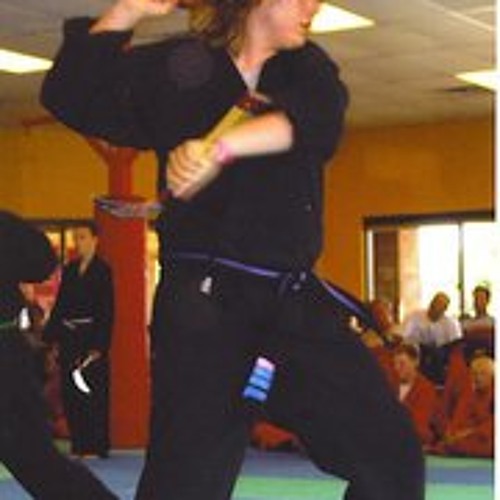 Stream SHUT UP, RINGO (hey guys, i wrote a song!) by Quinn Webster ...