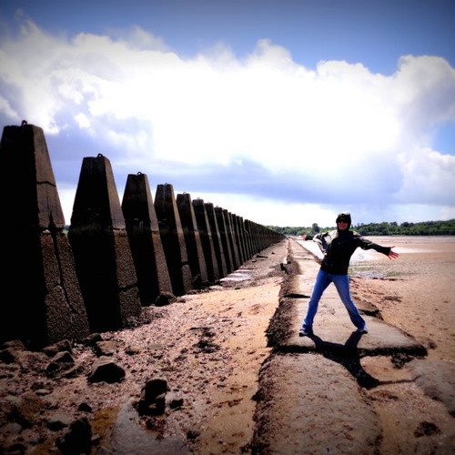 Stream Jingle Jangles music | Listen to songs, albums, playlists for ...