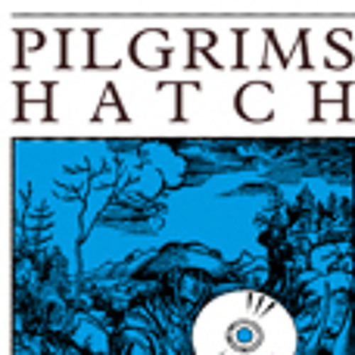 Stream PilgrimsHatch Studios | Listen to Pilgrims Hatch Examples ...