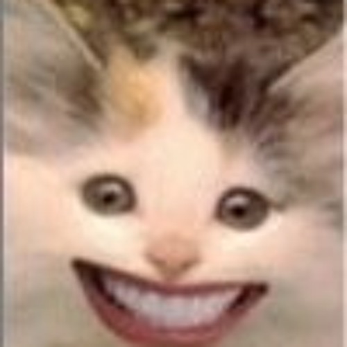 Smiling Cat With Human Teeth