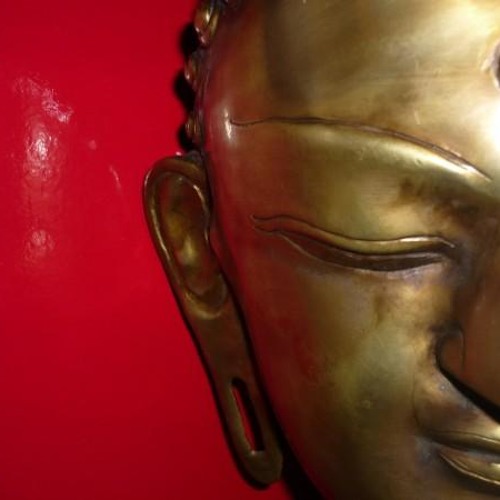 Stream magicgarden music | Listen to songs, albums, playlists for free ...