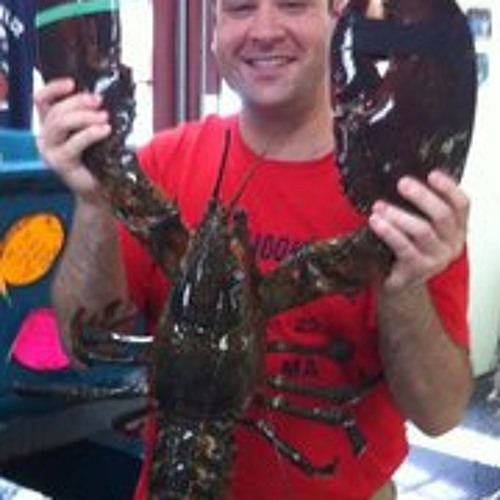 Stream Michael Doto music | Listen to songs, albums, playlists for free ...