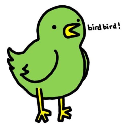 Stream birds-I-view music | Listen to songs, albums, playlists for free ...