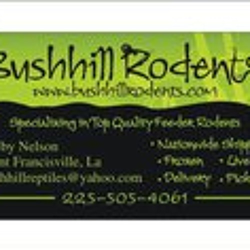 Stream Bushhill Rodents music | Listen to songs, albums, playlists for ...