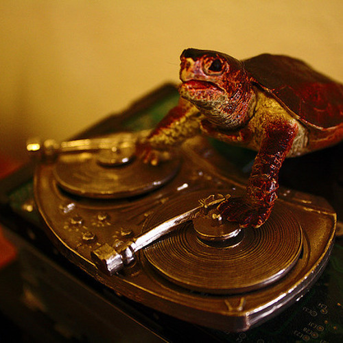 Stream Dj Jc Turtle music | Listen to songs, albums, playlists for free ...