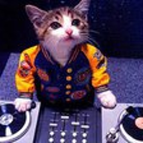 Stream DJ mat music | Listen to songs, albums, playlists for free on ...