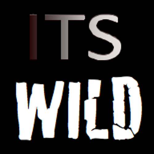 Stream ITS Wild music | Listen to songs, albums, playlists for free on ...