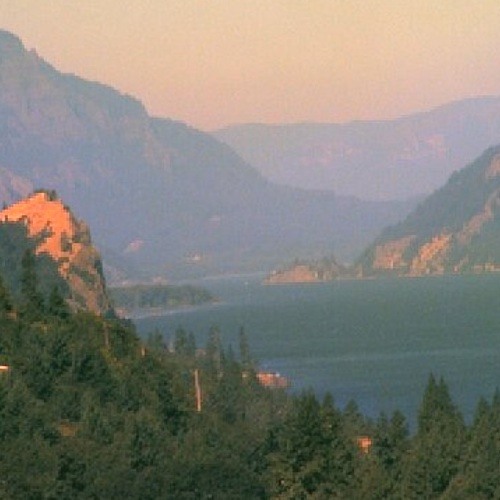 Stream Gregory Burrows music | Listen to songs, albums, playlists for ...