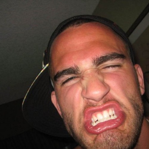 Stream Le Stallion music | Listen to songs, albums, playlists for free ...