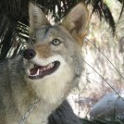 Stream Melissa Howe music | Listen to songs, albums, playlists for free ...