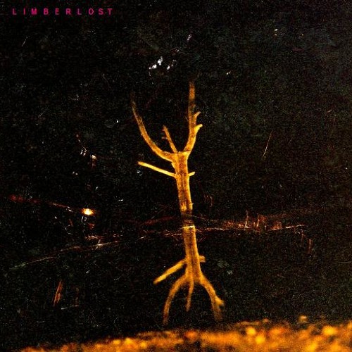 Stream limberlost music | Listen to songs, albums, playlists for free ...