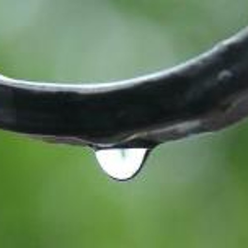 Stream Starbeans music | Listen to songs, albums, playlists for free on ...