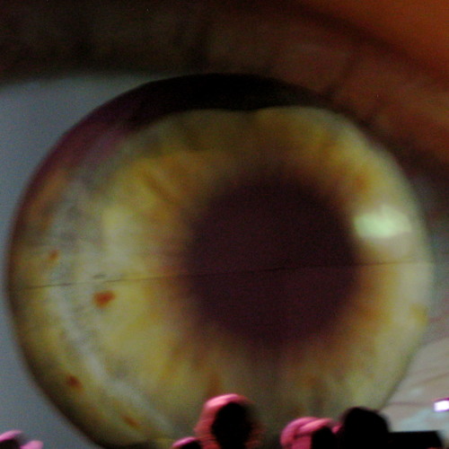 Stream Bdubs music | Listen to songs, albums, playlists for free on ...